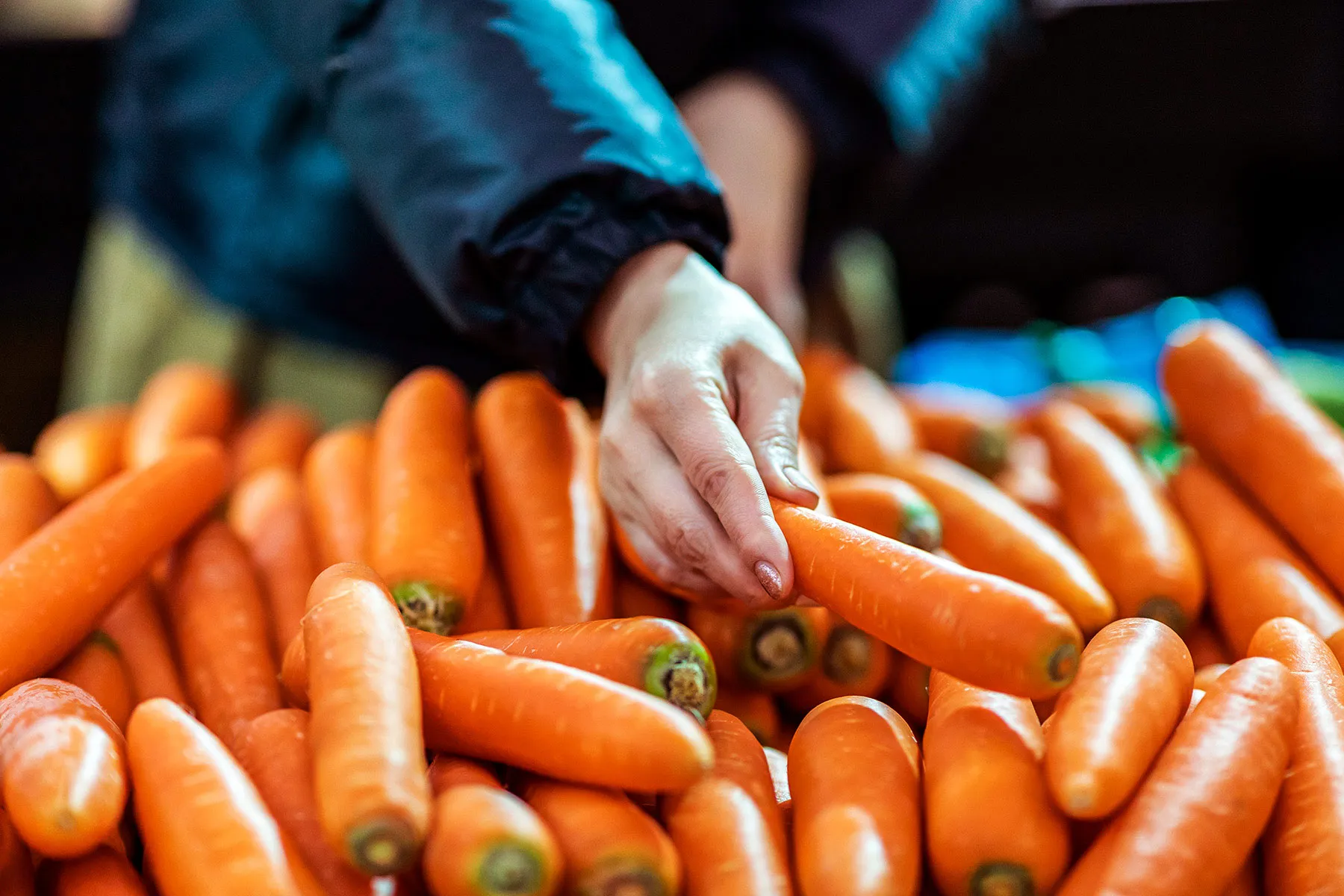 Carrots: Nutrition, Benefits, Risks, & Preparation
