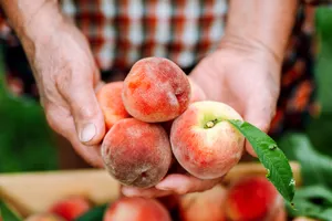 Peaches: Health Benefits, Nutrients per Serving, and More