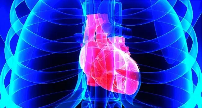 Steps to Take for Better Heart Health