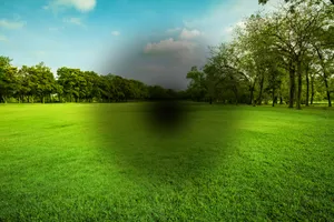 What to Know About Blind Spots (Scotoma)