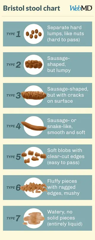 Bristol Stool Chart: Types of Poop - Shapes, Textures & Consistency