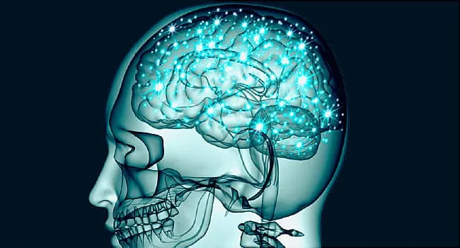 WebMD Brain and Nervous System Quiz Central