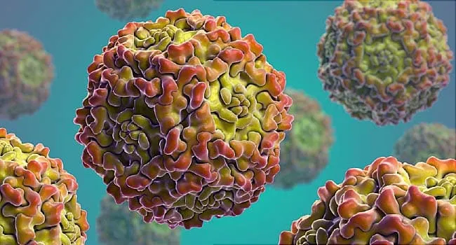 Fifth Disease (Slapped Cheek Syndrome) – Basics and Causes