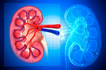 How C3 Glomerulopathy Affects Your Kidneys