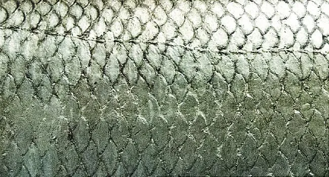 Seafood Allergy: Surprising Places To Find Seafood and 4 Easy Steps to ...