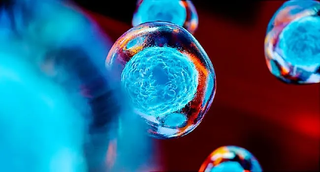 Stem Cell Transplant for Beta Thalassemia