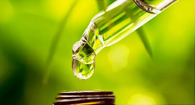 Natural Beauty Oils: How To Use Coconut Oil, Castor Oil, or Argan Oil ...