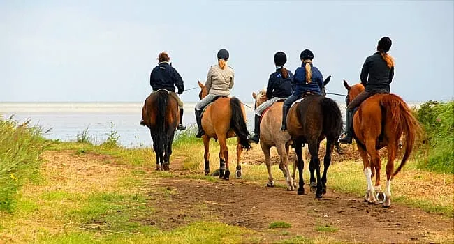 Tips to Stay Safe Outdoors with MS