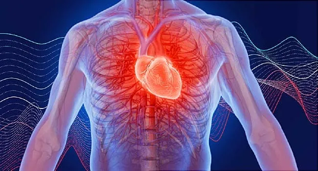 Why Am I Having Heart Palpitations? 14 Possible Causes