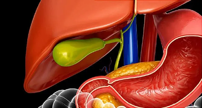 Visual Guide To Your Gallbladder