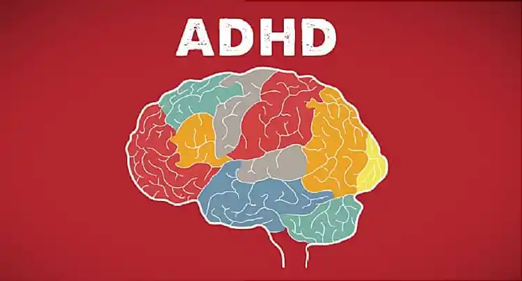 ADHD Video on What Happens to Your Brain