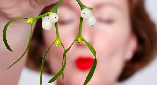 Is Mistletoe Poisonous?
