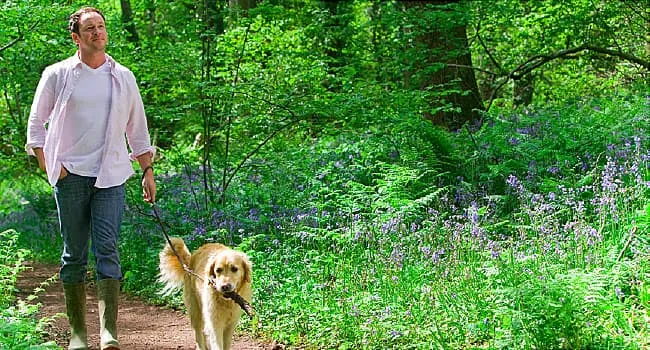 WebMD Video Behavioral Activation