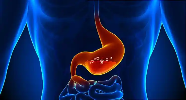 Little-Known Facts About Your Stomach & Belly