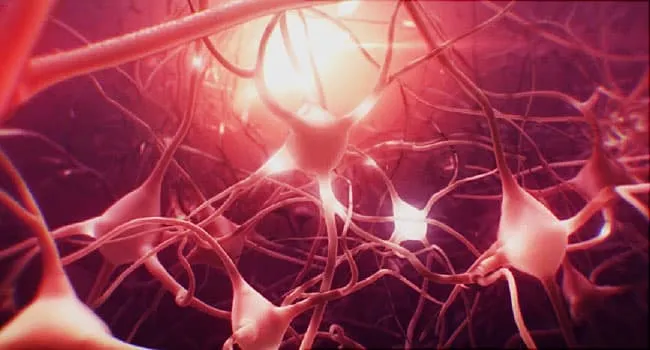 What Happens in Your Brain When You Have A Seizure?