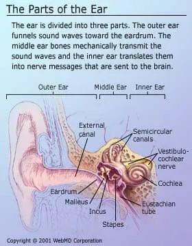 Tinnitus (Ringing in the Ears) Causes and Definition