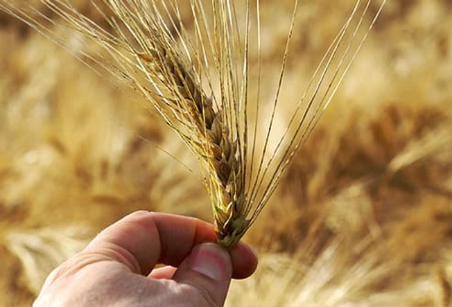 Why Is My Stomach Bloated? 15 Causes of Abdominal Bloating