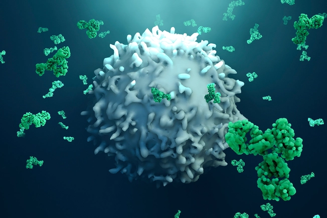 Follicular Lymphoma: Treatments by Cancer Stage