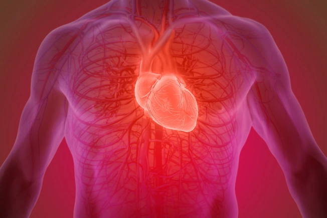 How Marijuana Affects Your Body