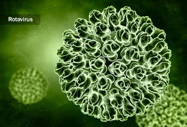 Stomach Flu: Signs, Symptoms, & Other Stomach Bug Facts