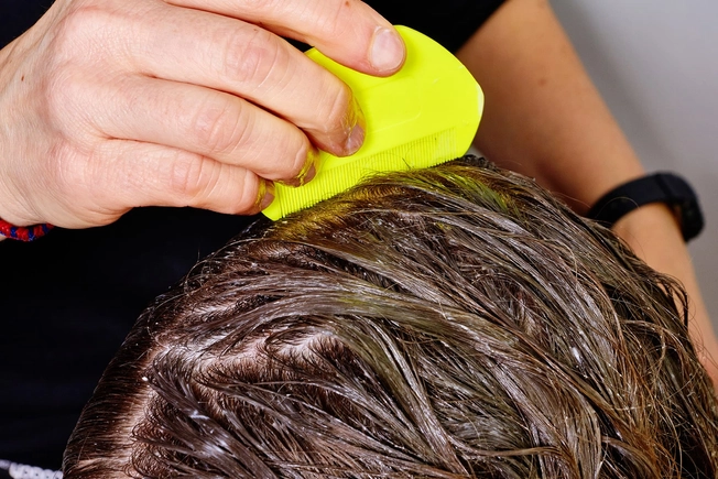 Health and Household Uses for Lavender