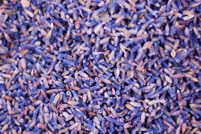 Health and Household Uses for Lavender