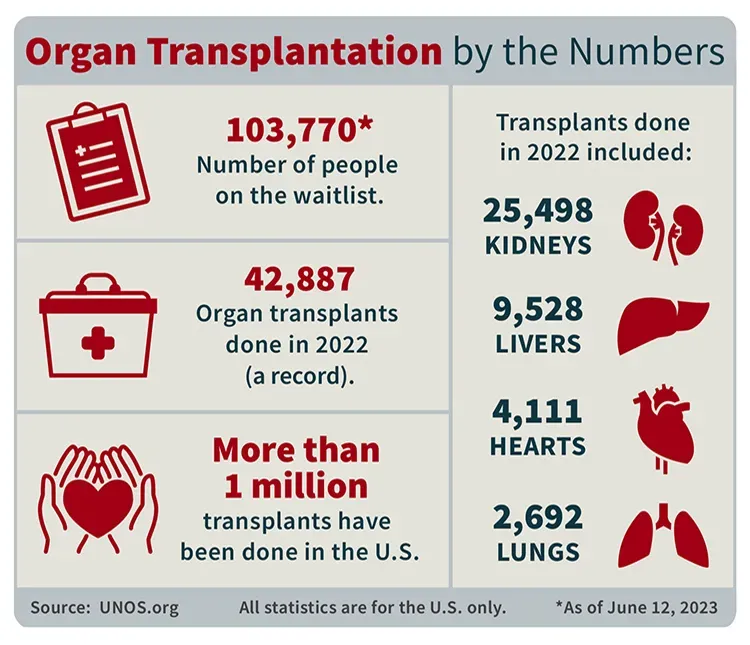 Organ Transplants: Efforts to Correct Bias and Inequities